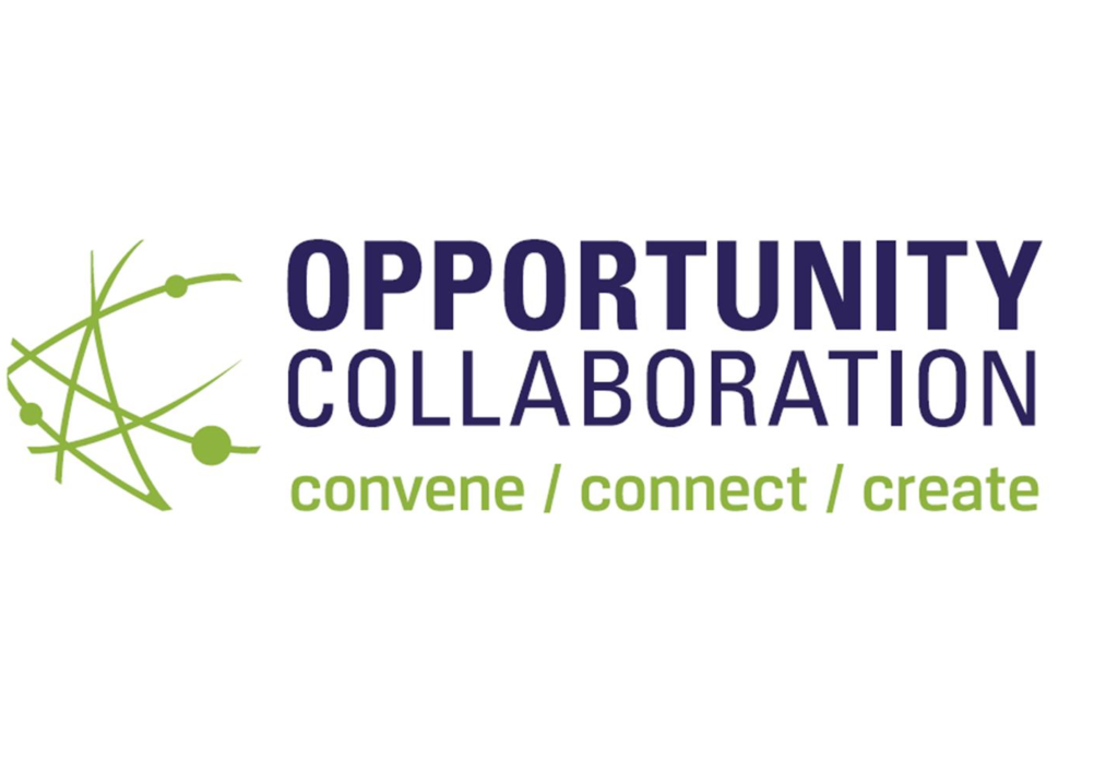 The answers of Gemma Mortensen - Olbios